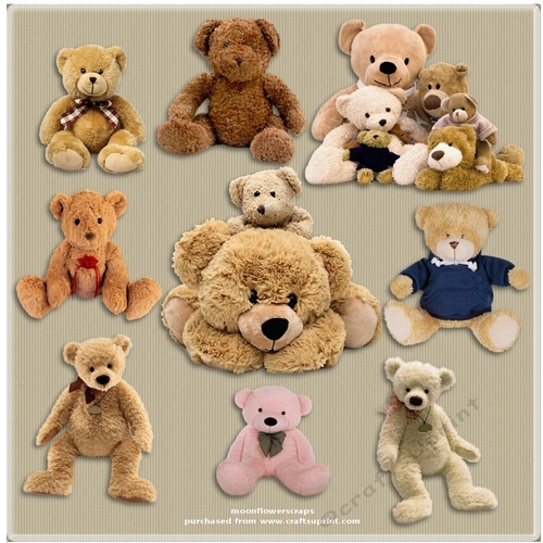 Cute Bears - CUP778063_77133 | Craftsuprint