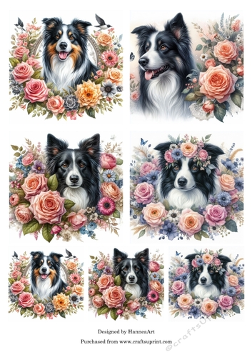 Border collie dog collage sheet - CUP1296543_73451 | Craftsuprint