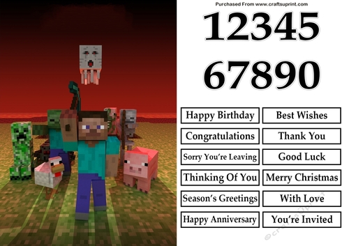 Minecraft 2 Quick Card - CUP973730_82225 | Craftsuprint