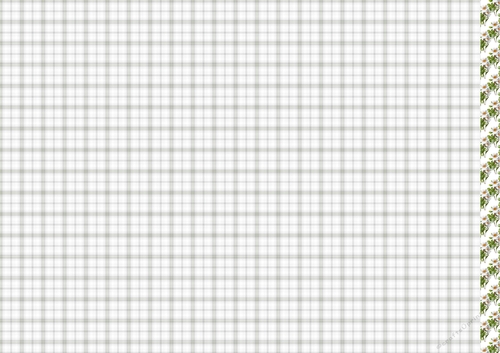 Dog rose backing paper with border - white - CUP783256_1834 | Craftsuprint