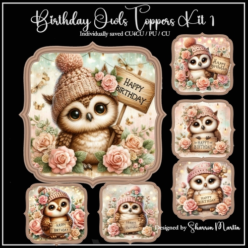 Birthday Owls Toppers/Frames 1-6 in PNG CU4CU/CU/PU - CUP1321612_1495 ...
