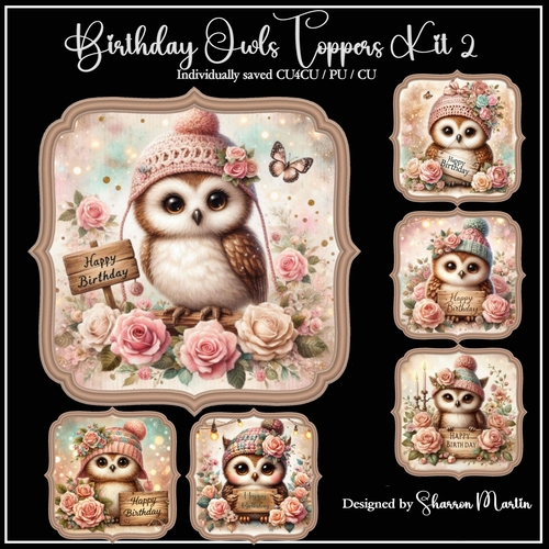 Birthday Owls Toppers/Frames 7-12 in PNG CU4CU/CU/PU - CUP1321613_1495 ...