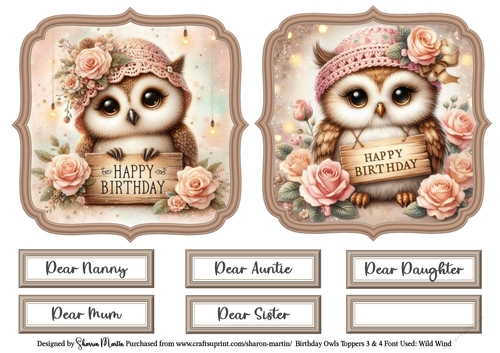 Birthday Owls Toppers 3 & 4 with Sentiments CU4CU/PU/CU - CUP1322556 ...