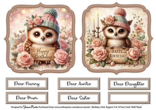 Birthday Owls Toppers 9 & 10 with Sentiments CU4CU/PU/CU - CUP1322559 ...