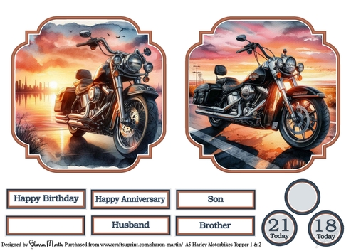 Large Toppers Harley Motorbikes 1 & 2 CU4CU/CU/PU - CUP1329361_1495 ...