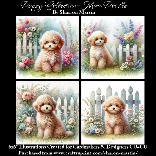 6x6 Puppy Collection - Mini Poodle - Illustrations for Cardmaking ...