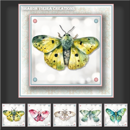 the beautiful Moth Topper Kit - CUP1217176_2357 | Craftsuprint
