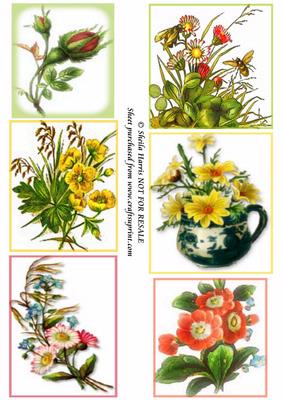 Floral Toppers Set 1 - CUP23157_158 | Craftsuprint