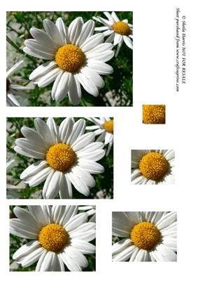 Daisy Pyramid - CUP84716_158 | Craftsuprint