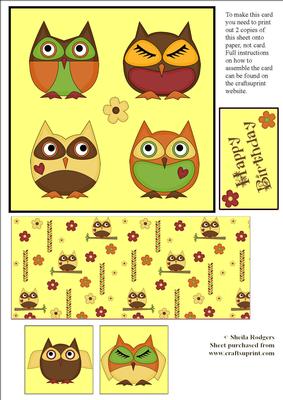 Owls Exploding Card - CUP161288_66 | Craftsuprint