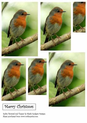 Robin Pyramid and Topper - CUP24483_66 | Craftsuprint