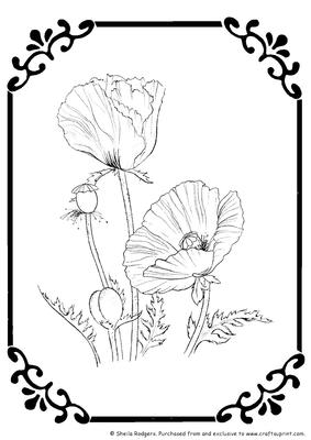 Digital Stamp - Poppies in Frame - CUP410903_66 | Craftsuprint