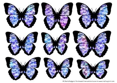 Butterfly 1 Embellishments 3 - CUP444685_66 | Craftsuprint