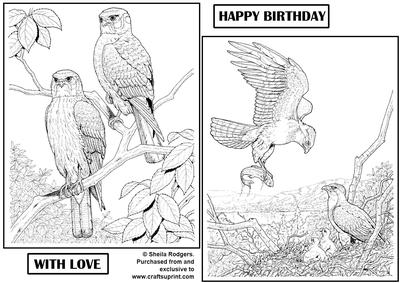 Digi Stamp - Birds 3 - CUP473438_66 | Craftsuprint