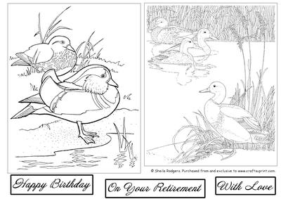 Digi Stamp - Ducks 1 - CUP474176_66 | Craftsuprint