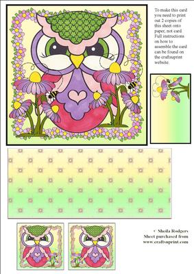 Exploding Card - Owl with Flowers 1 - CUP479834_66 | Craftsuprint