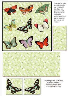 Exploding Card - Butterflies - CUP52240_66 | Craftsuprint