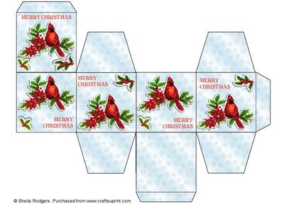 All in One Gift Box - Red Cardinal - CUP552380_66 | Craftsuprint