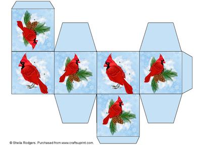 All in One Gift Box - Red Cardinals - CUP644391_66 | Craftsuprint