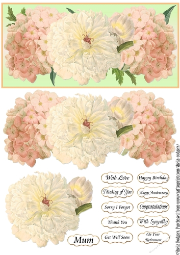 Floral DL Topper Various Occasions - CUP791876_66 | Craftsuprint