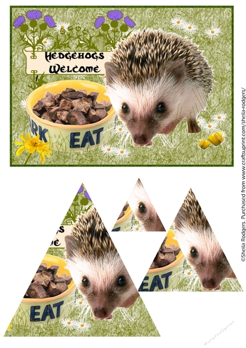 HEDGEHOGS WELCOME - CUP922491_66 | Craftsuprint