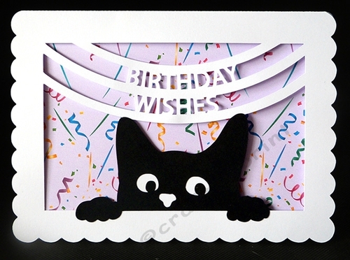 Birthday Wishes Cat Card with backing paper - CUP1167278_40382 ...