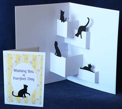 Cats Popup Card - Photo by Jean Rowley