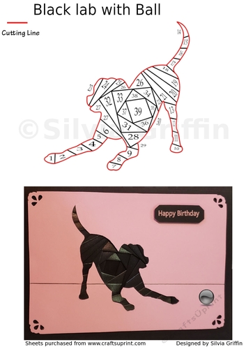 Black Labrador playing with Ball Iris folding - CUP1049932_262 ...