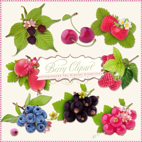 Berry Clip Art - CUP803606_79379 | Craftsuprint