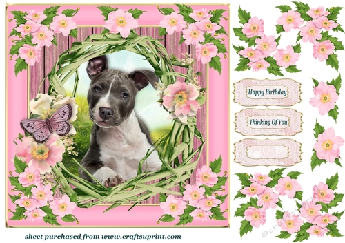 Floral pup card front I - CUP1100457_659 | Craftsuprint