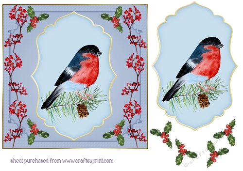 Winter bird card front 5 - CUP1159052_659 | Craftsuprint