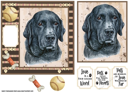 Black Labrador card front - CUP1161438_659 | Craftsuprint