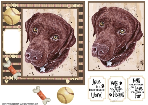 Chocolate Labrador card front - CUP1161440_659 | Craftsuprint