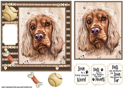 English Cocker card front - CUP1161445_659 | Craftsuprint