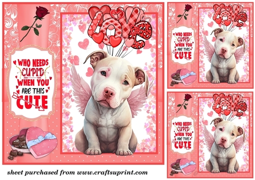 3 Who needs Cupid card front/toppers 12 - CUP1194768_659 | Craftsuprint