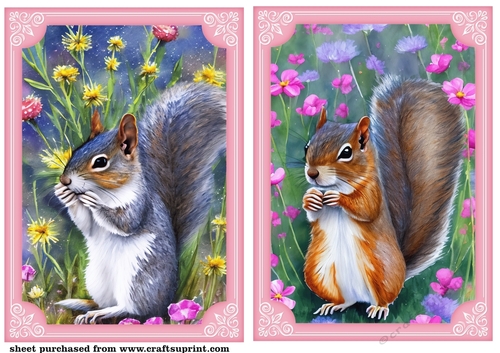 2 All about the squirrels card front/toppers 2 - CUP1197232_659 ...