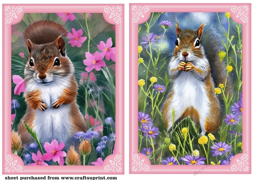 2 All about the squirrels card front/toppers 7 - CUP1197237_659 ...