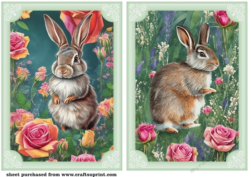 2 All about the rabbits card front/toppers 2 - CUP1197688_659 ...