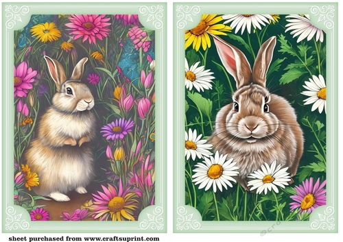 2 All about the rabbits card front/toppers 3 - CUP1197689_659 ...