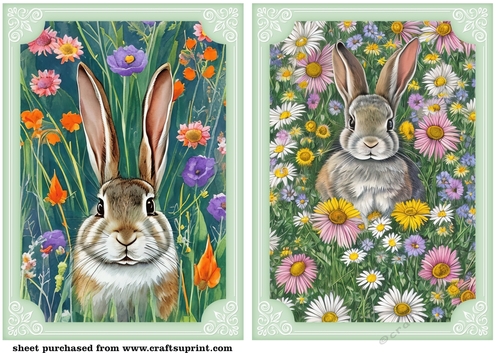 2 All about the rabbits card front/toppers 5 - CUP1197691_659 ...