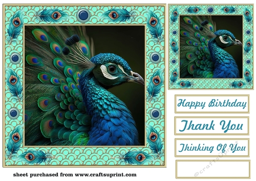 Peacock card front A - CUP1201229_659 | Craftsuprint
