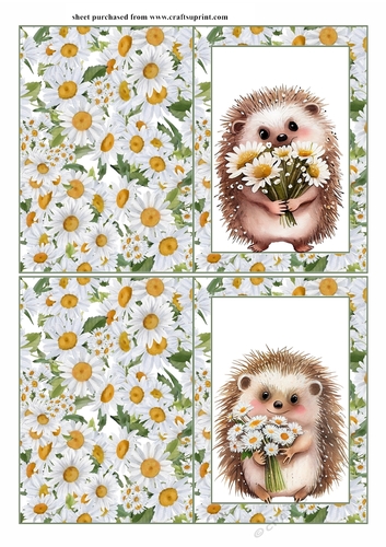 2 Daisy hedgehog notelets (with room for sentiment) 4 - CUP1209348_659 ...