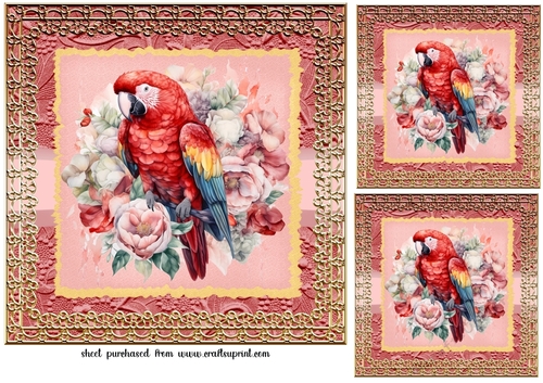 3 Framed red parrot card fronts/toppers 1 - CUP1211483_659 | Craftsuprint