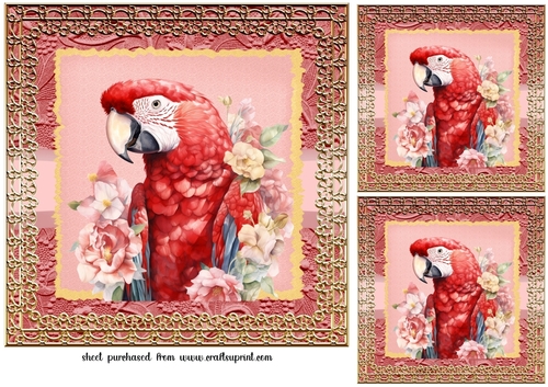 3 Framed red parrot card fronts/toppers 4 - CUP1211487_659 | Craftsuprint