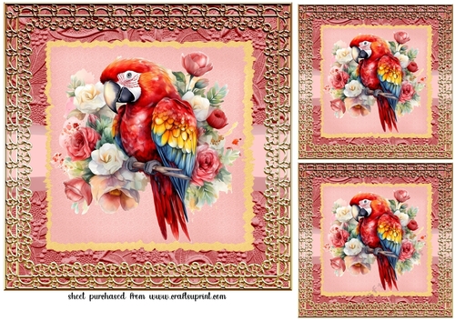 3 Framed red parrot card fronts/toppers 5 - CUP1211488_659 | Craftsuprint