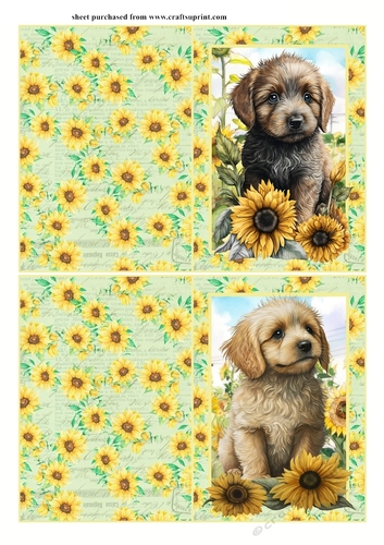 2 Sunflower puppy notelets 1 - CUP1212022_659 | Craftsuprint