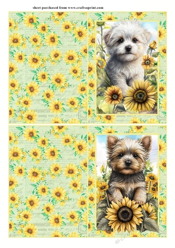 2 Sunflower puppy notelets 3 - CUP1212025_659 | Craftsuprint