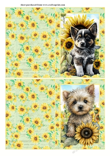 2 Sunflower puppy notelets 4 - CUP1212027_659 | Craftsuprint