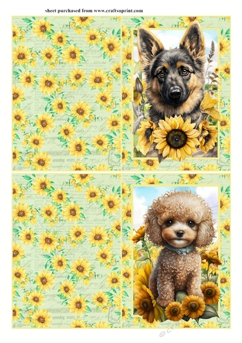 2 Sunflower puppy notelets 7 - CUP1212030_659 | Craftsuprint