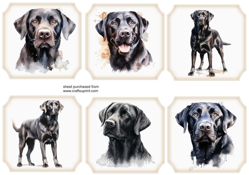 6 Black Lab toppers - CUP1216410_659 | Craftsuprint